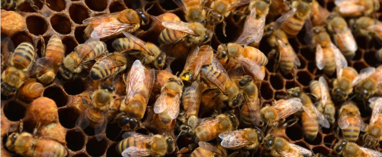 Achieving World-Class Operations Management – Introduction to Business ...