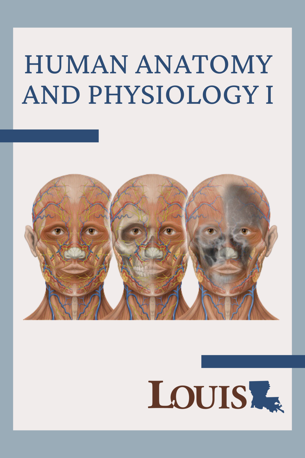 Human Anatomy And Physiology Textbook Human Anatomy And Physiology,